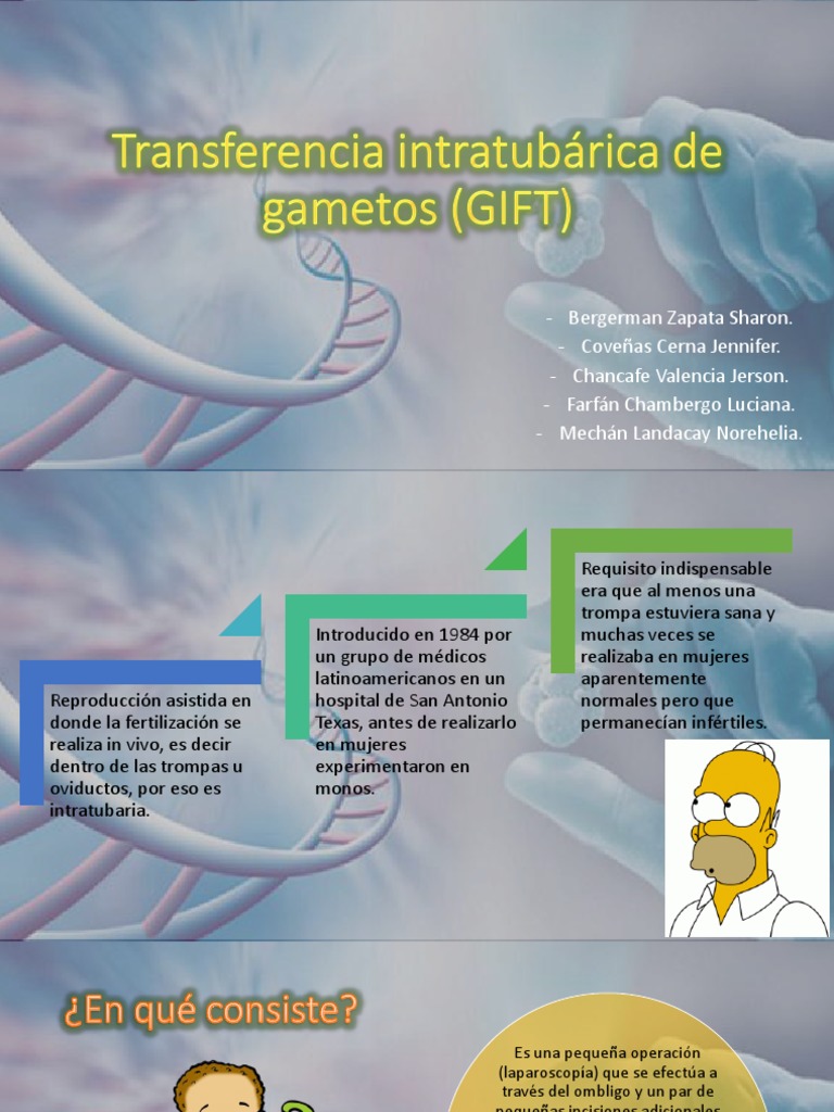 Transferencia Intratubárica de Gametos GIFT | PDF | Tecnología de ...