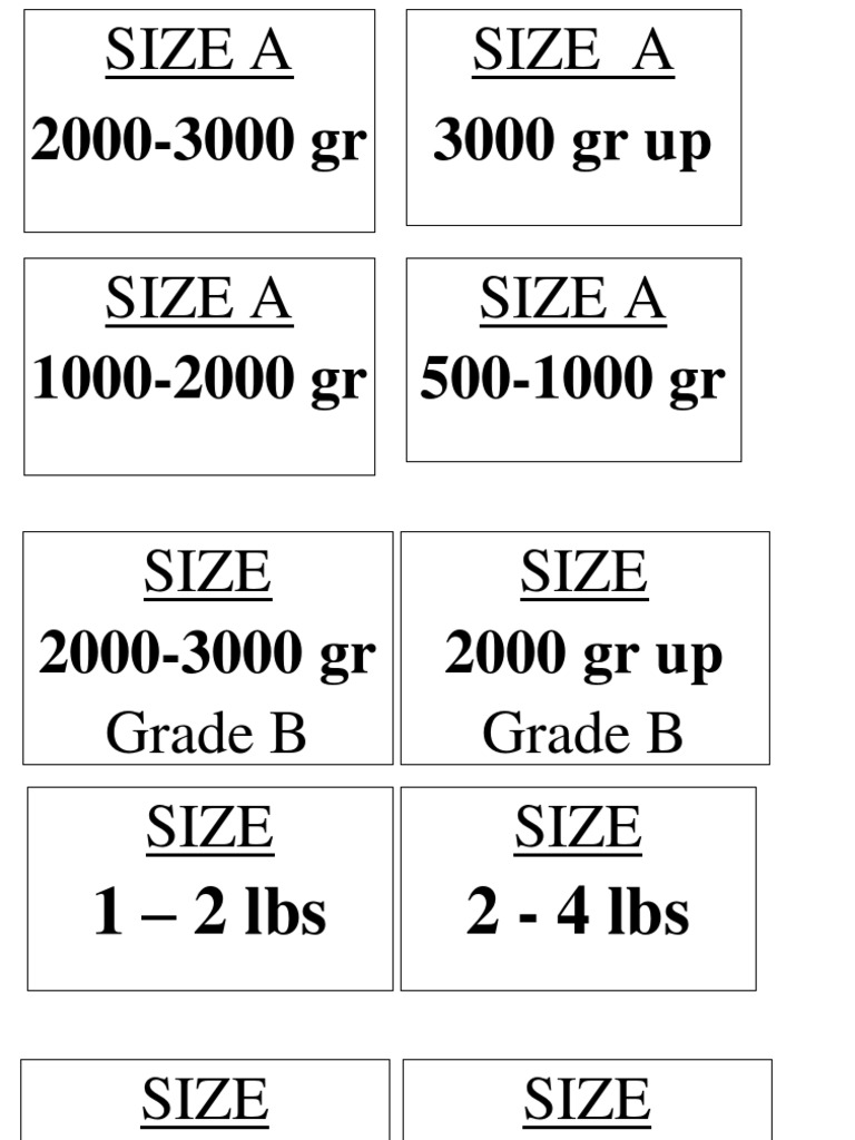Weight and Grade Size Chart | PDF | Cooking, Food & Wine | Lifestyle
