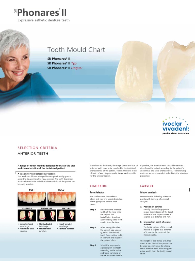 SR Phonares II Tooth Mould Chart | PDF | Tooth | Dentures