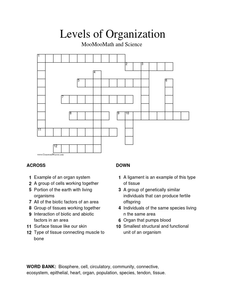 Levels of Organization: Moomoomath and Science | PDF