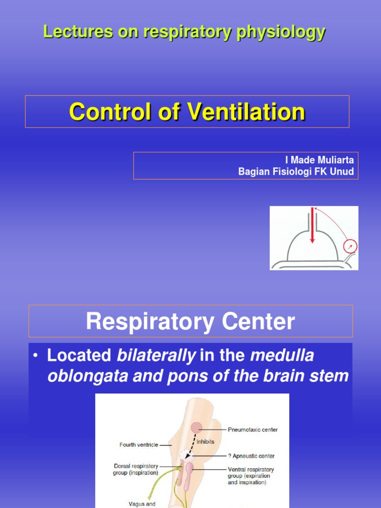 Control of Ventilation: Lectures On Respiratory Physiology | PDF ...