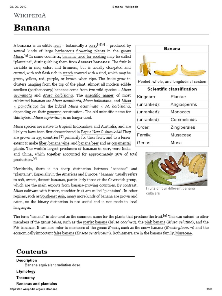 Banana | PDF | Banana | Plants