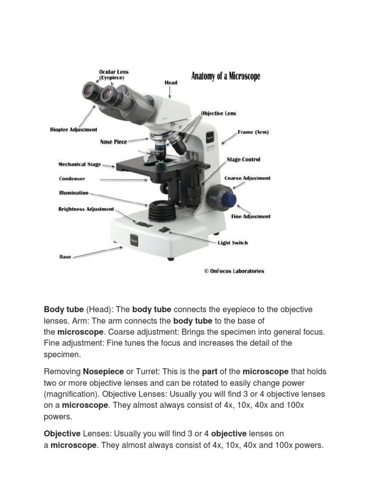 An In-Depth Guide to the Key Components and Functions of the Light ...