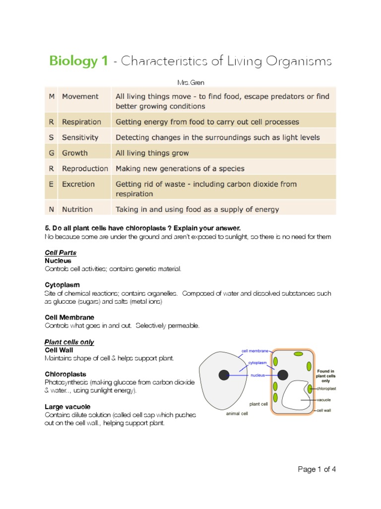 Biology 1 - Characteristics of Living Organisms | PDF | Digestion | Neuron