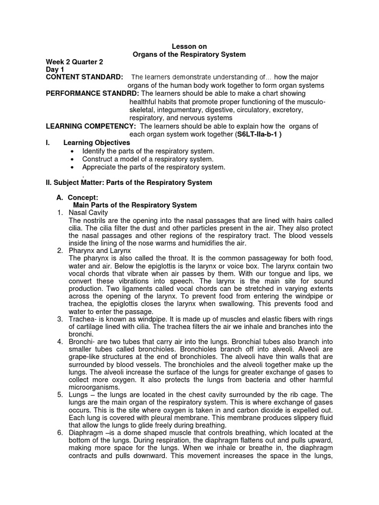Lesson Plan On Parts of The Respiratory System - (Catalyst Group) | PDF ...