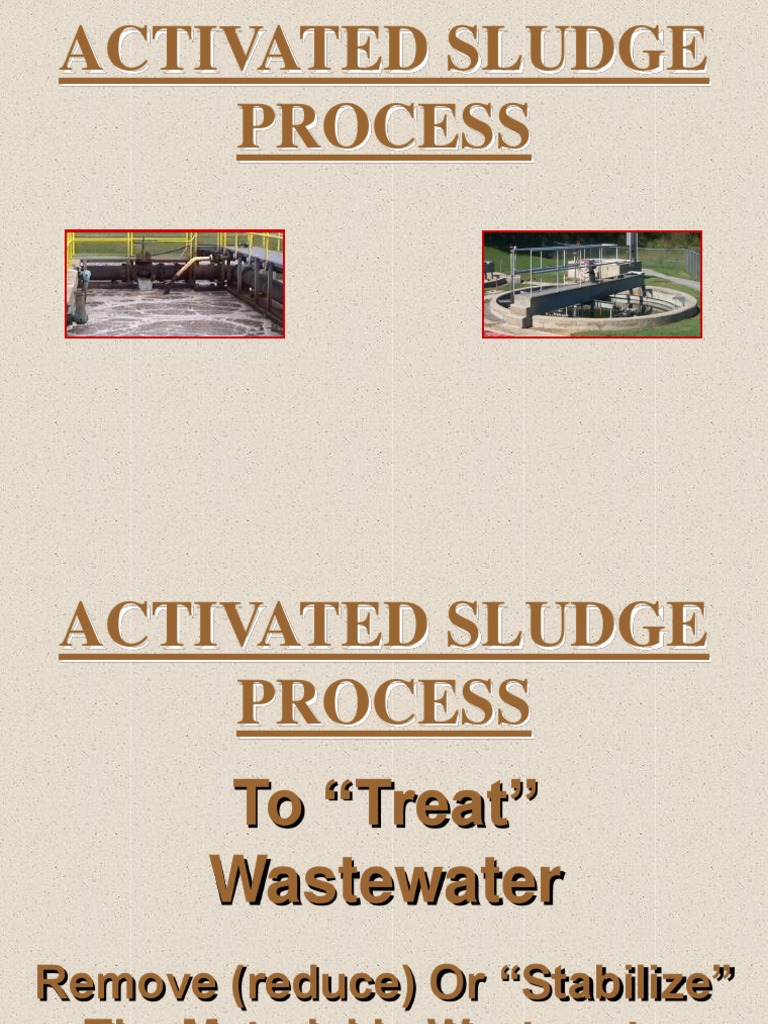 Activated Sludge | PDF | Sewage Treatment | Chemistry