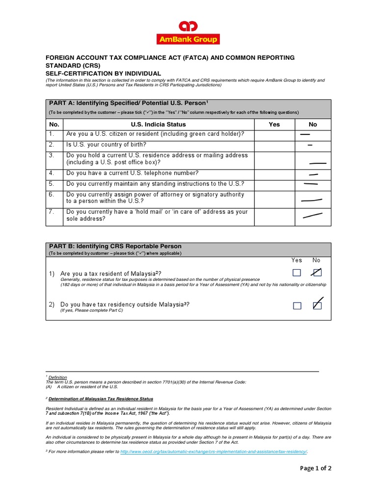 FATCA+CRS Form - Individual 3.0 2 | PDF | Government And Personhood ...