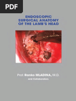 Snake Anatomy and Physiology | PDF | Snake | Senses