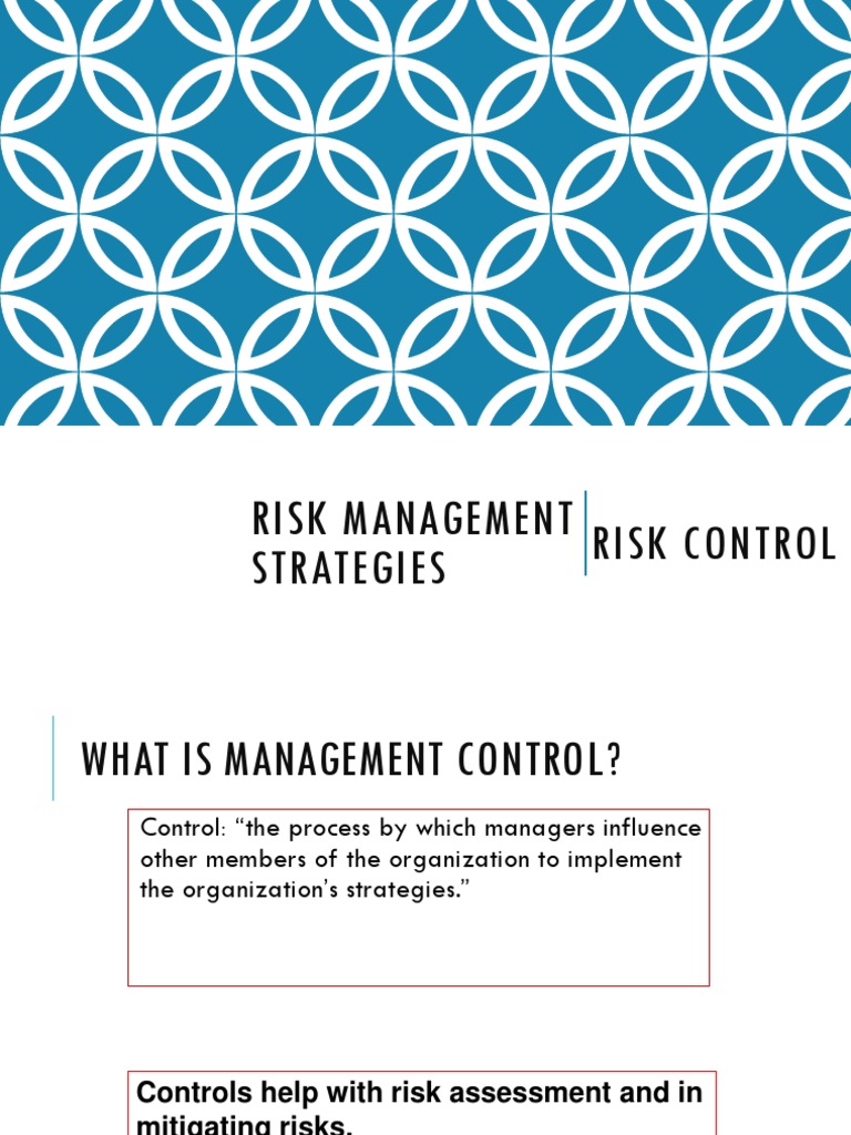 Risk Management Strategies | PDF