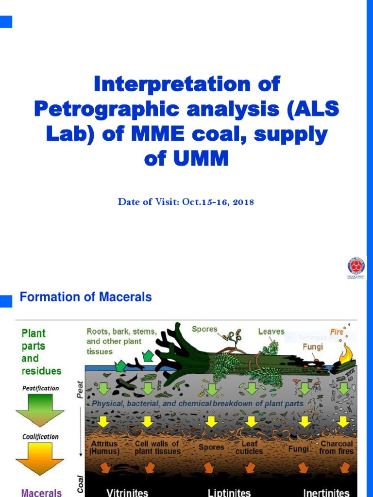 MME Coal Petrographic Analysis Report | PDF | Coal | Fossil Fuels