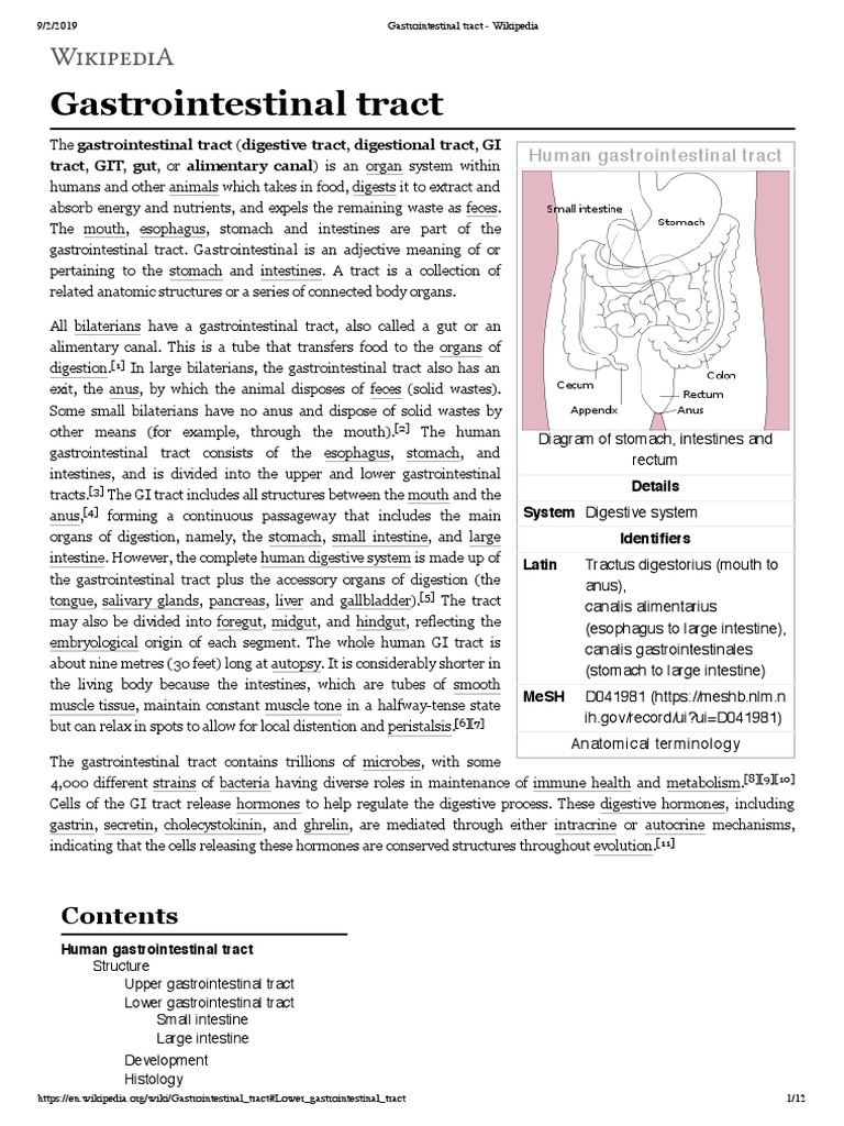 Gastrointestinal Tract | PDF | Gastrointestinal Tract | Stomach