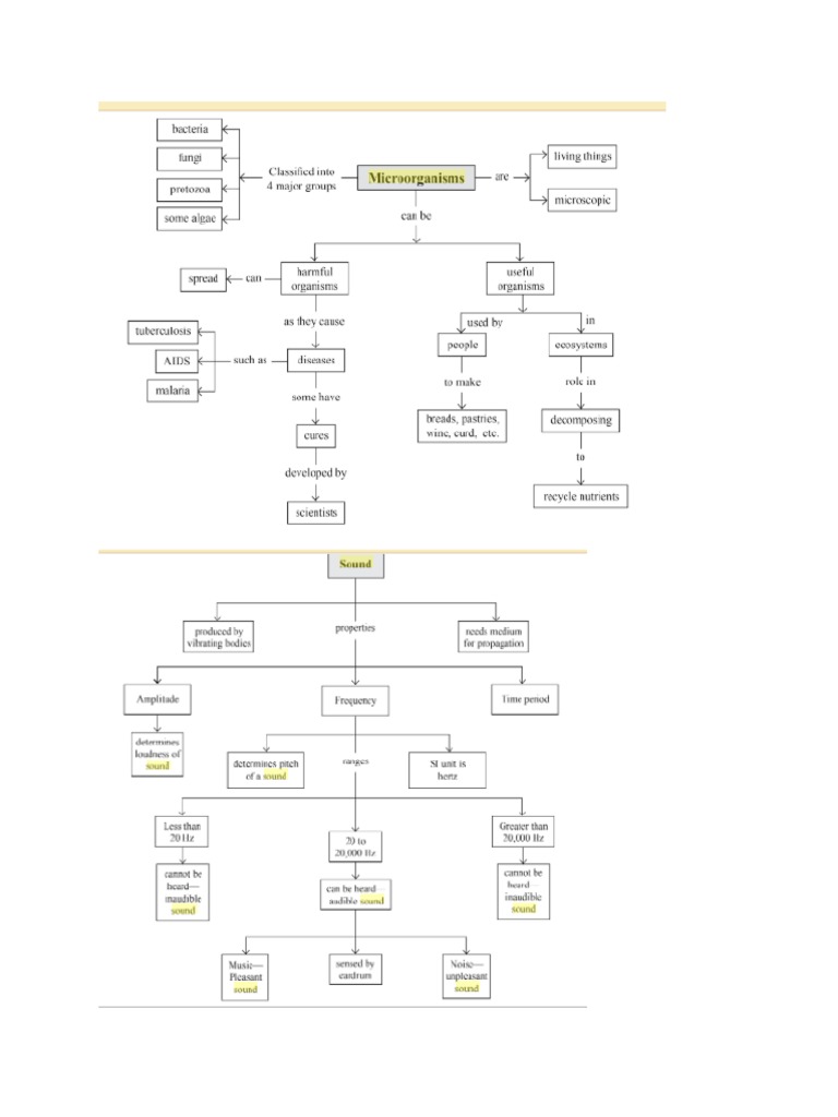 Mind Map 8th Science | PDF
