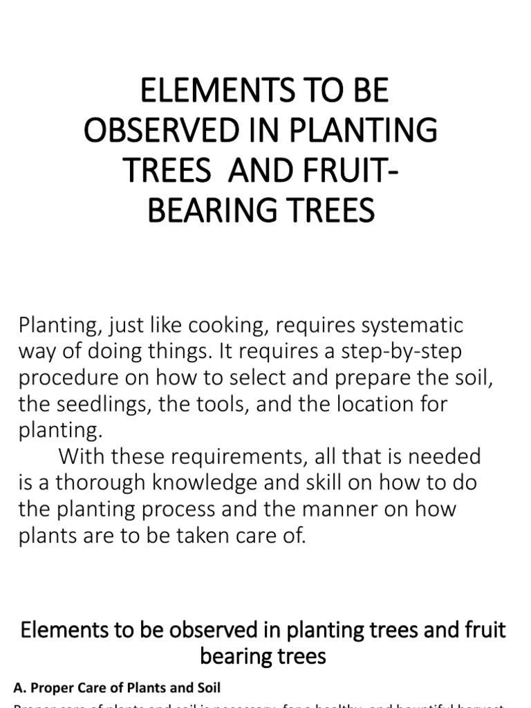 Key Elements for Planting Trees | PDF | Seed | Trees