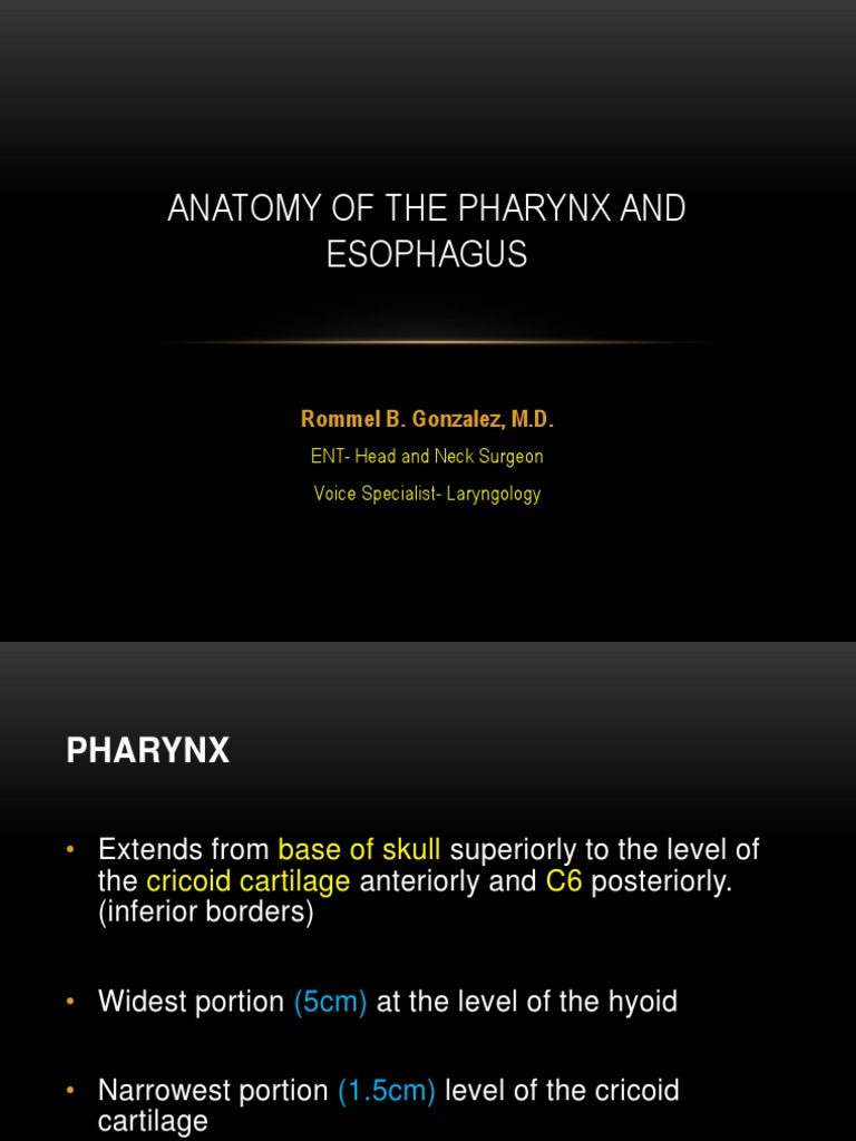 (Ent) - Lec5 Anatomy of The Pharynx & Esophagus - Gonzales | PDF ...