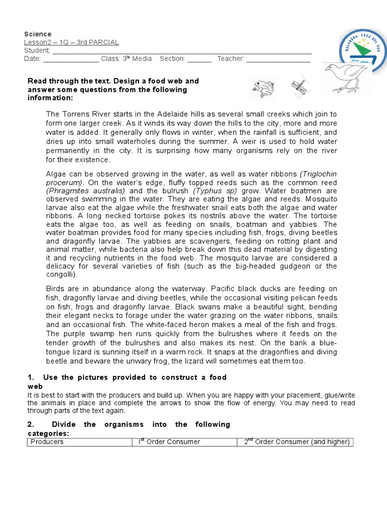 Read Through The Text. Design A Food Web and Answer Some Questions From ...