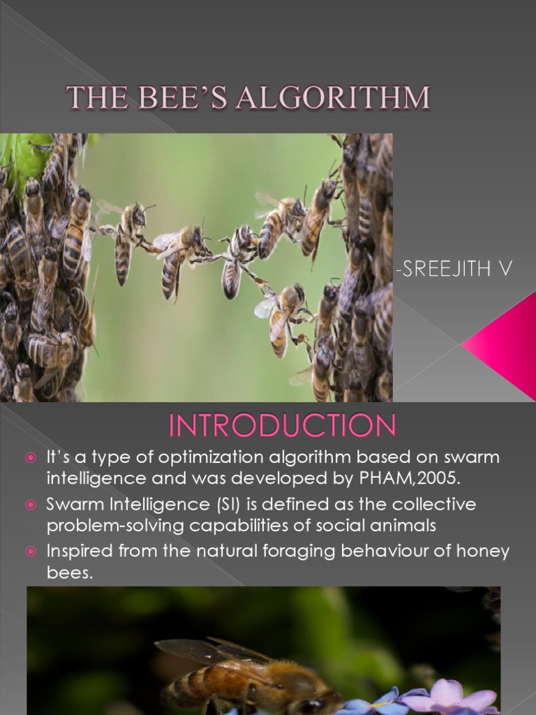 Bees Algorithm | PDF