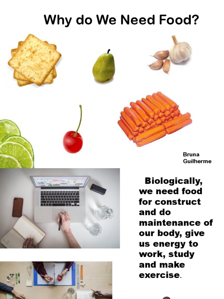 Why We Need Food | PDF | Nutrients | Human Body