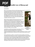 Sheep and Goat Vaccination Schedule | PDF | Sheep | Vaccines