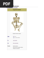 Tracto Rubroespinal | PDF | Cerebro | Neuroanatomía