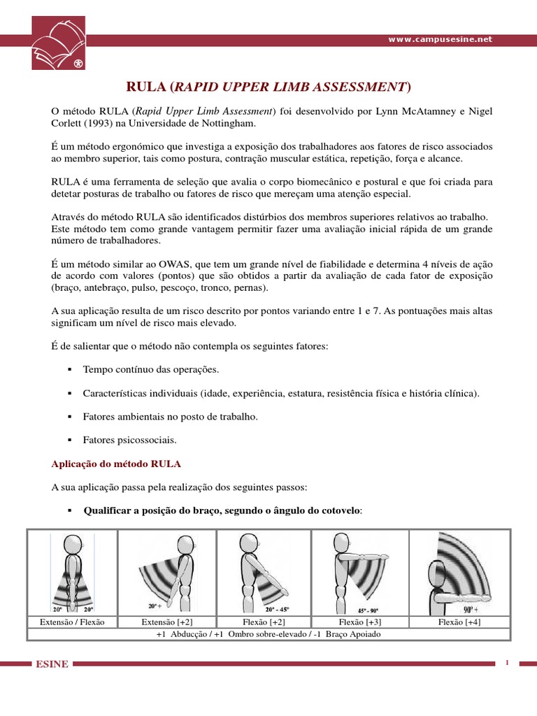 Método RULA PDF | PDF | Natureza