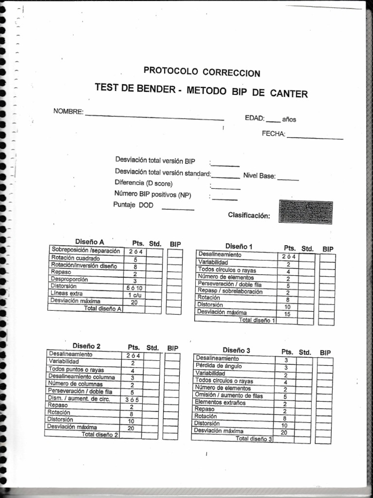 Protocolo Correccion Bender BIP | PDF | Naturaleza