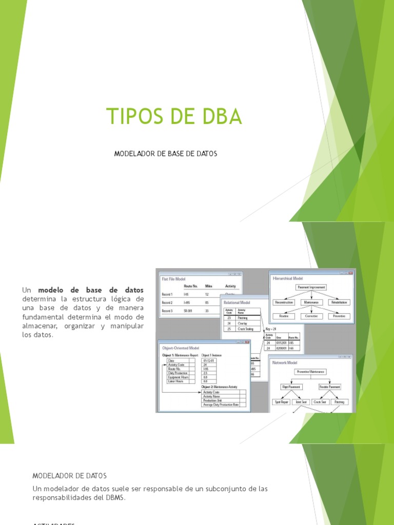 Tipos de DBA | PDF | Bases de datos | Tecnología digital