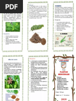 Triptico de Planta Medicinal | PDF | Plantas medicinales | Agua