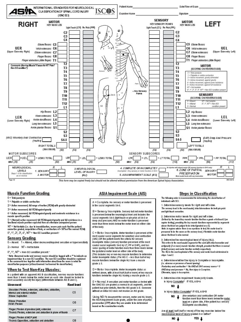 ASIA ISCOS IntlWorksheet 2019 | PDF | Spinal Cord Injury | Anatomical ...