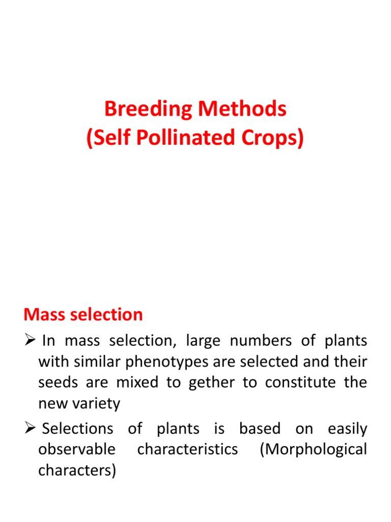 Breeding Methods (New) | PDF | Plant Breeding | Natural Selection