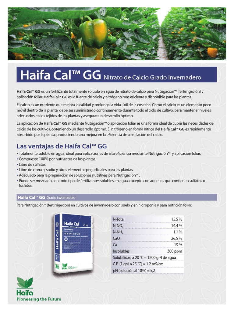 Haifa Cal GG - 0 | PDF | Calcio | Fertilizante