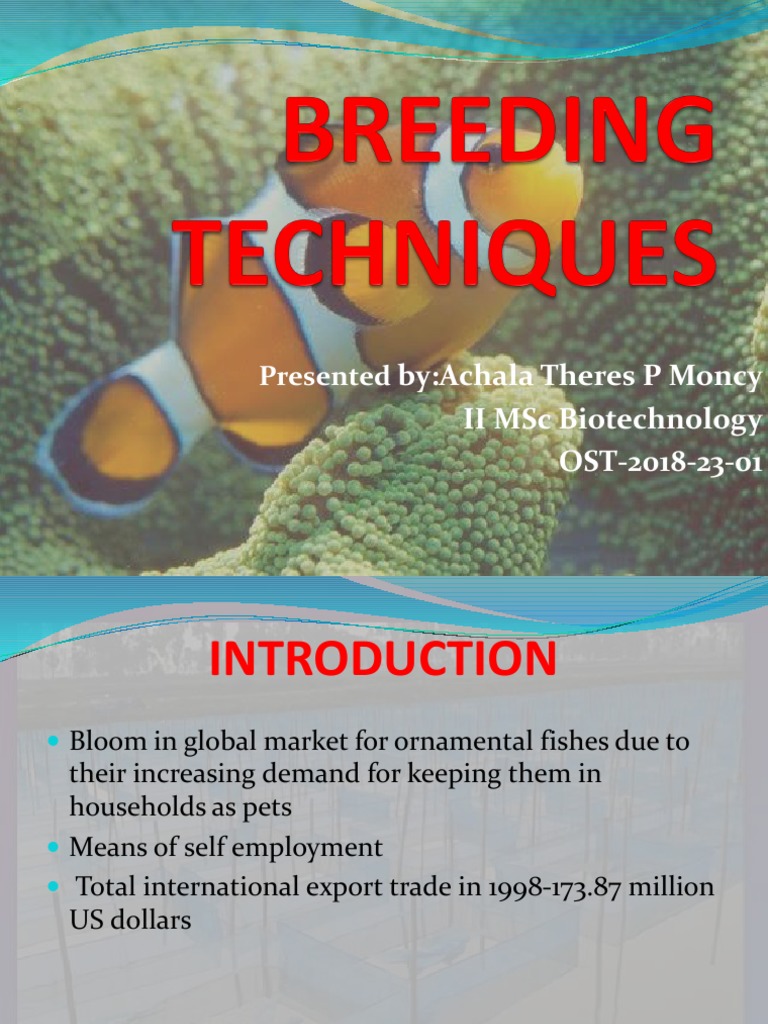 Breeding Techniques | PDF | Spawn (Biology) | Egg