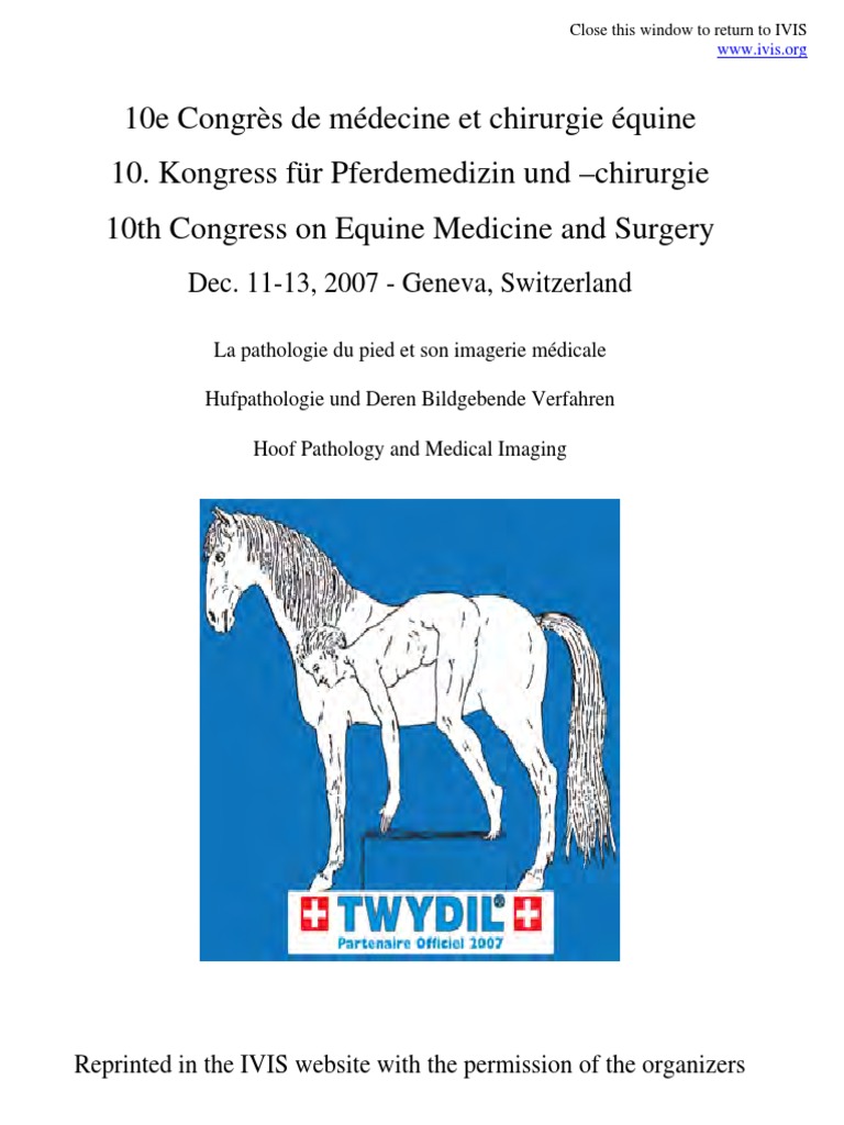 Corrective Shoeing of Equine Denoix | PDF | Foot | Anatomical Terms Of ...