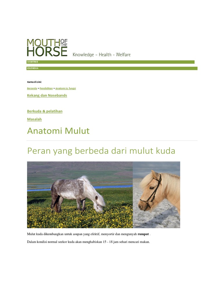 Kuda Kuda DK | PDF