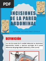 Incisión Rocky Davis | PDF | Medicina CLINICA | Anatomía