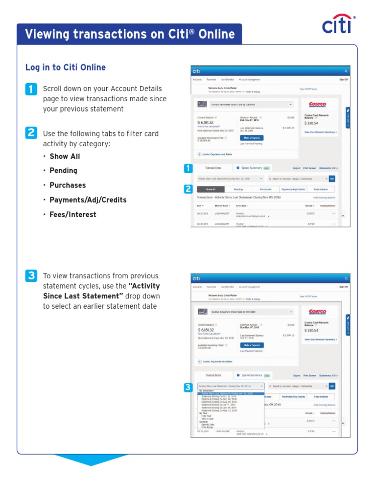 A Comprehensive Guide to Viewing Transactions and Requesting Previous ...
