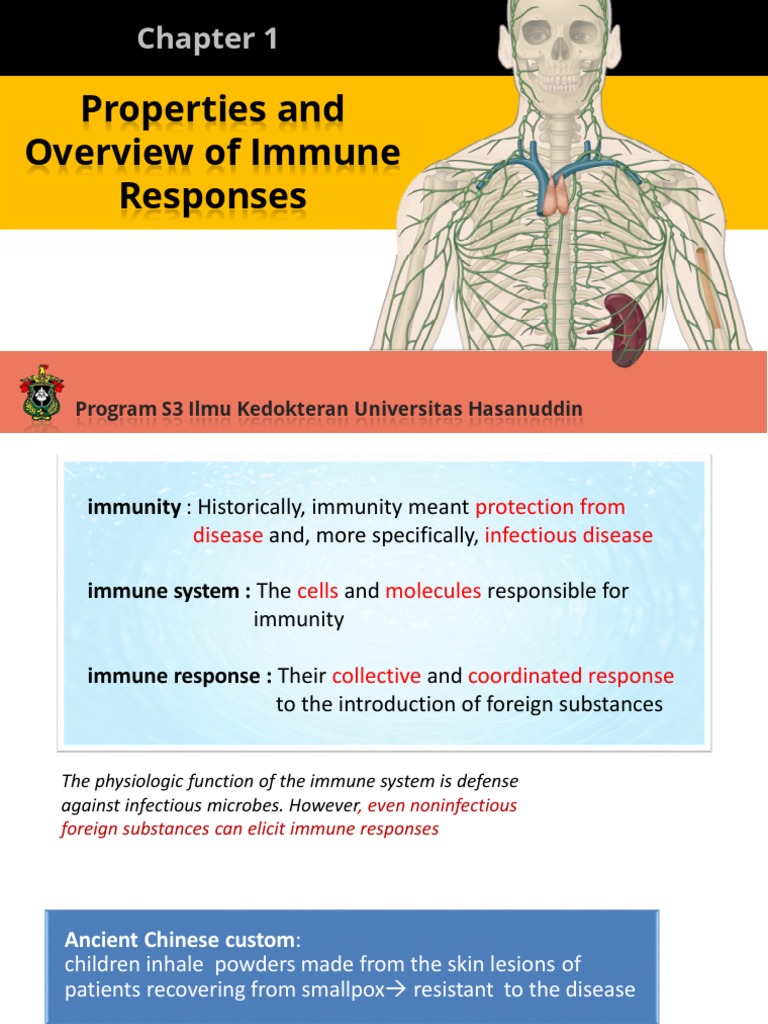 Properties and Overview of Immune Responses | PDF | Adaptive Immune System | Immune System