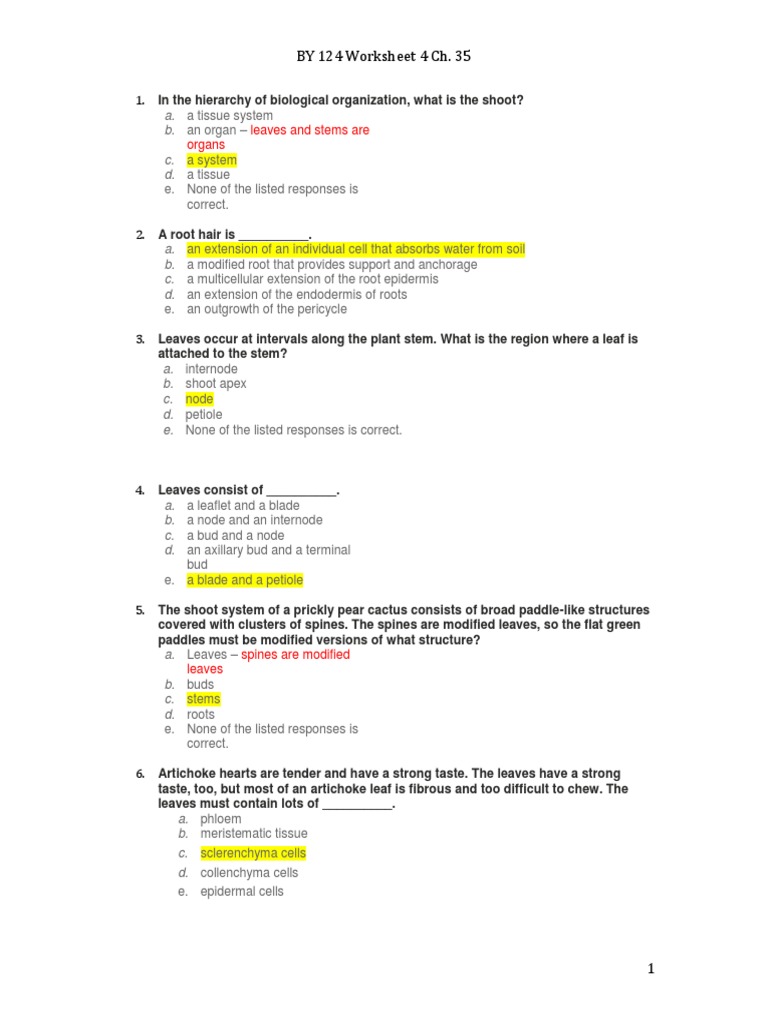 Worksheet 4 Answers | PDF | Plant Stem | Tissue (Biology)