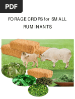 Different Classification of Feedstuff | PDF | Animal Feed | Cattle