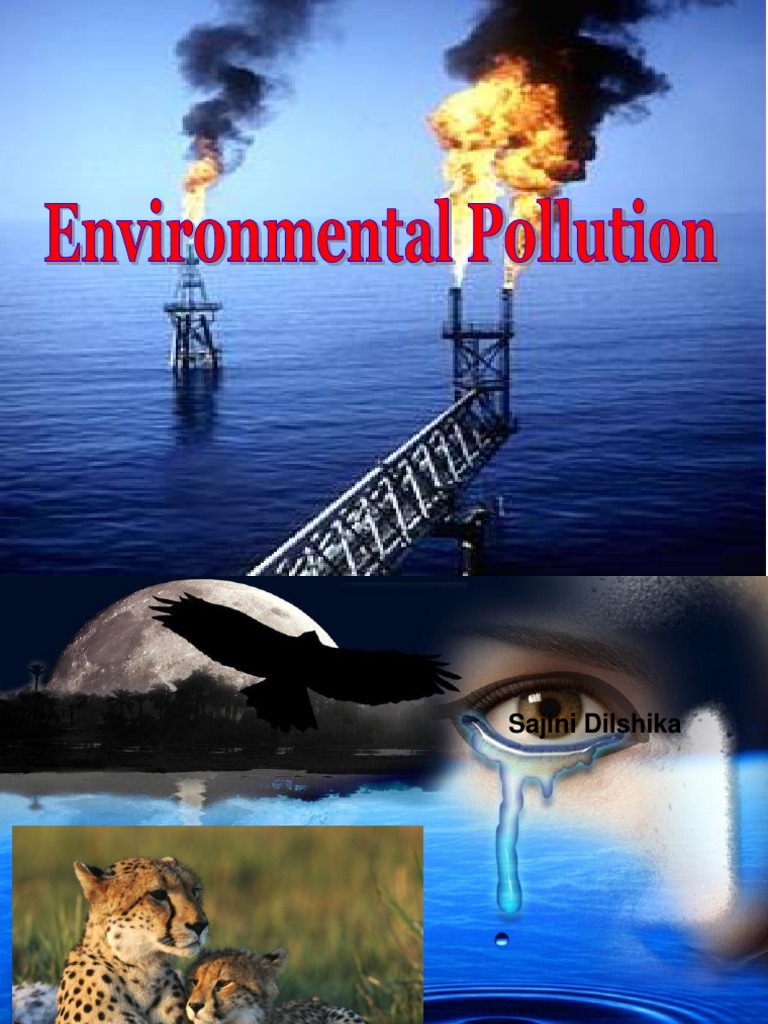 Environmental Pollution Powerpoint | PDF | Natural Environment | Soil