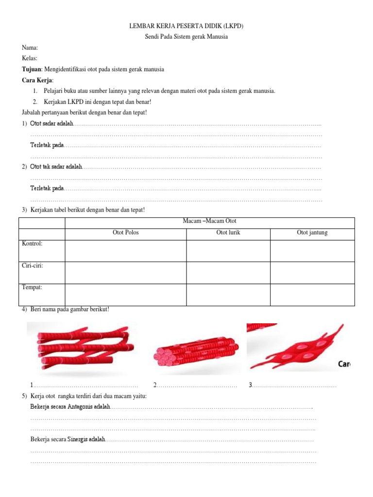 LKPD (Otot) | PDF