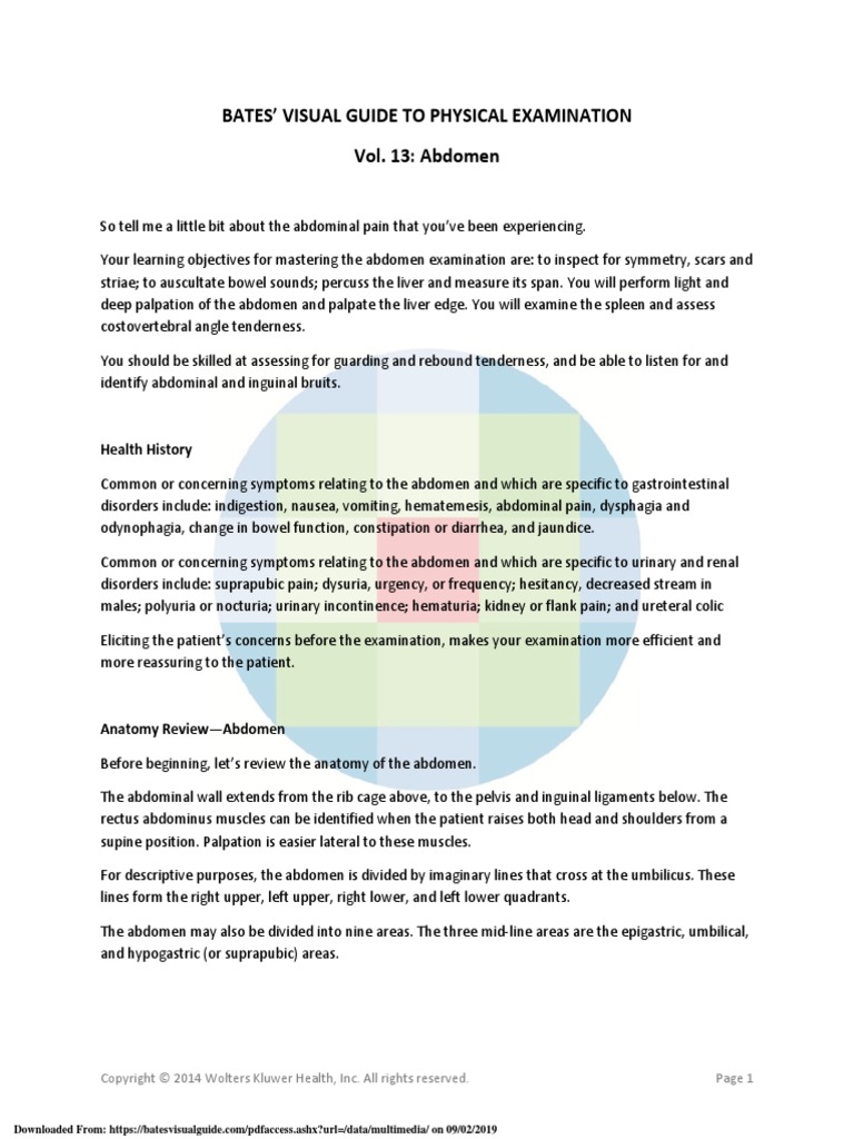 LWW BATES 13 Abdomen Transcript FINAL | PDF | Abdomen | Pelvis