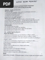 Identifying Variables Worksheet | PDF