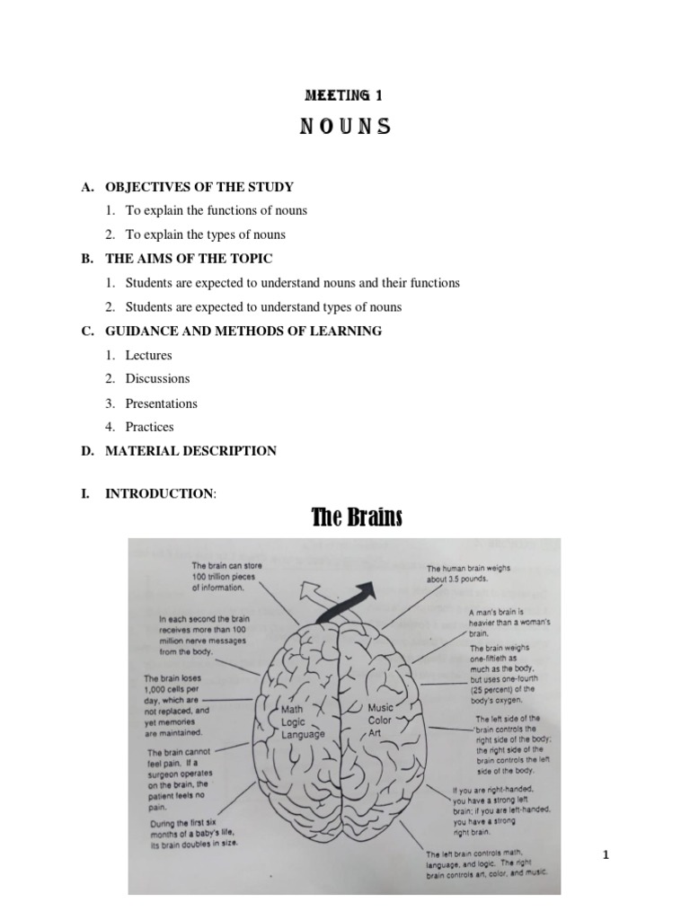 Nouns: A. Objectives of The Study | PDF | Grammatical Number | Noun