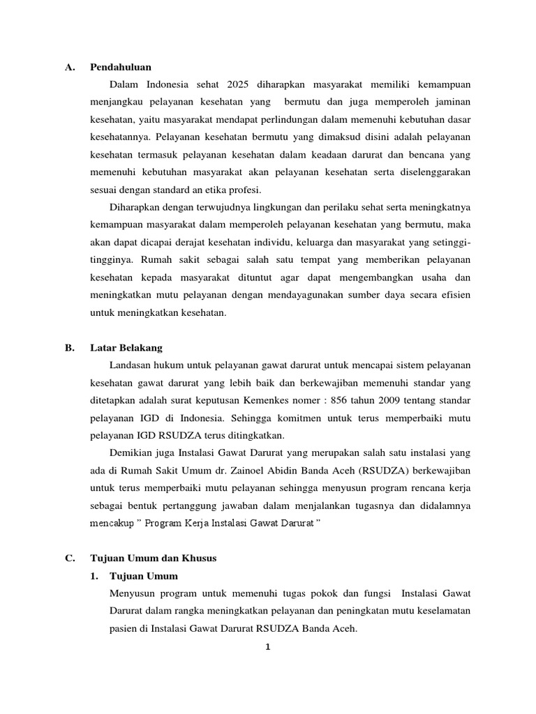 Program Kerja IGD 2019 | PDF