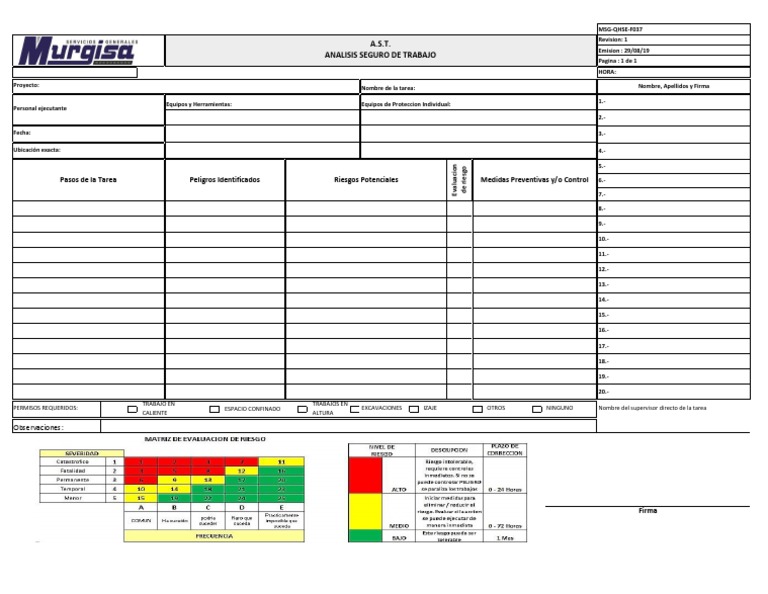 Modelo de Ast Murgisa | PDF | Agitación | Ajedrez