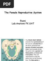 Anatomy of Female Reproductive Ligaments | PDF | Uterus | Ovary