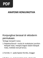 Anatomi dan Fisiologi Konjungtiva Mata | PDF