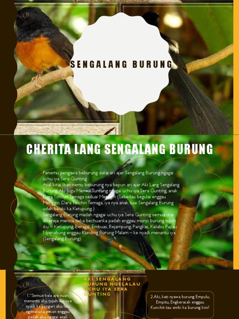 Sengalang Burung | PDF