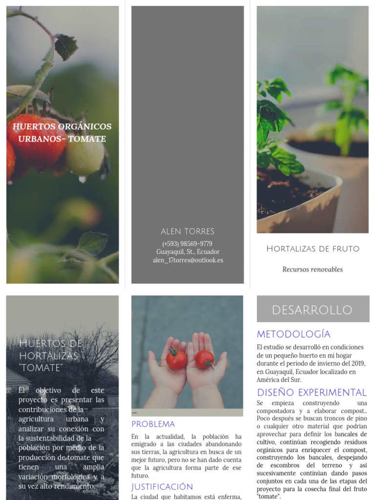 Triptico Huerto - Tomate | PDF | Compost | Tomate