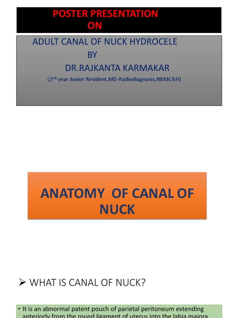 Canal of Nuck | Download Free PDF | Mammal Reproductive System ...